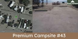 Doheny State Beach Campground | All You Need to Know
