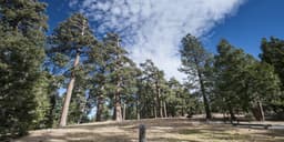 Table Mountain (Angeles) Campground | All You Need to Know